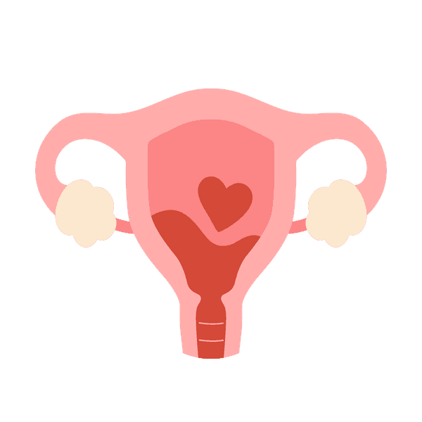 Vagel i ögat - Doktera